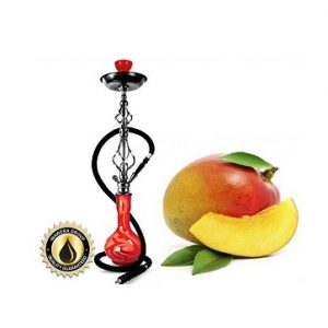 INA Shisha Mango - Flavourwala