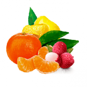 Best Fruit Fusion - Flavourwala